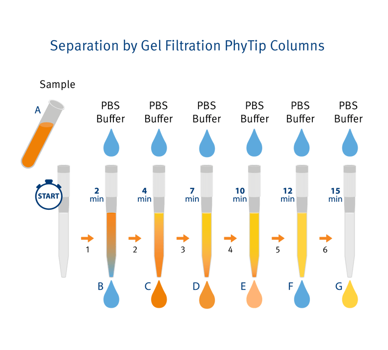 Gel filtration PhyTip columns for buffer exchange